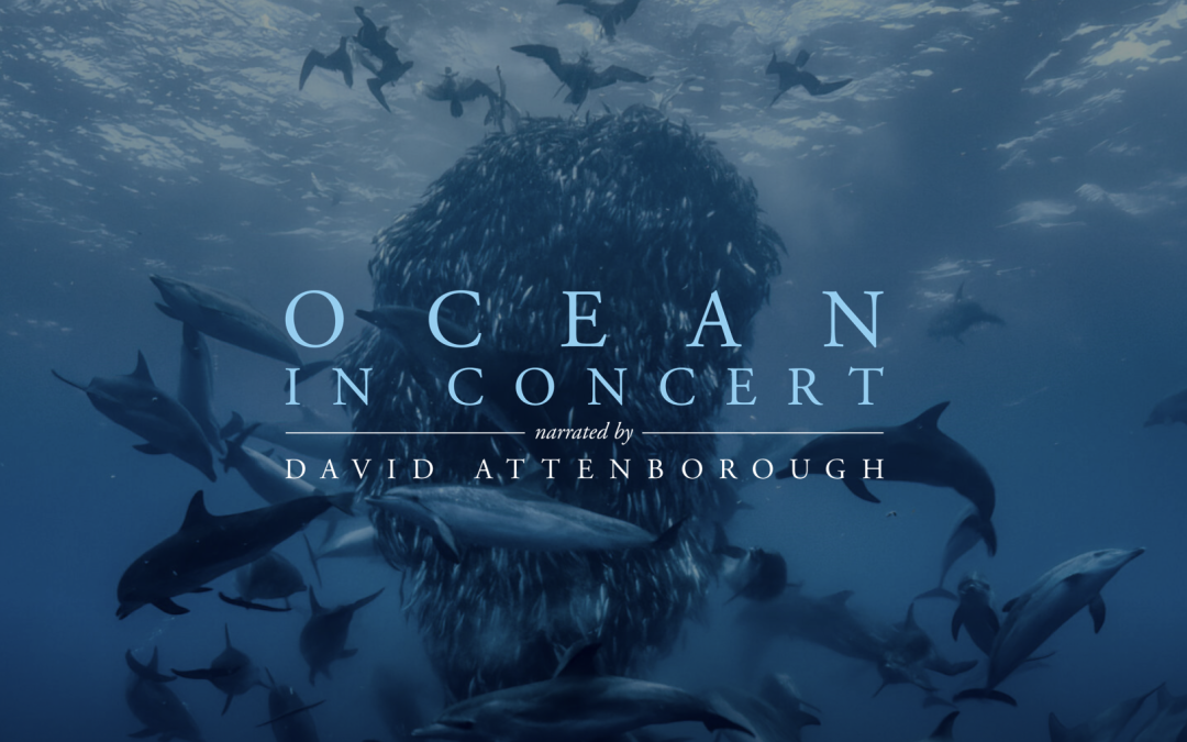 Ocean in Concert – Nijmegen | PA'dam